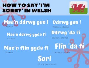 The many ways of saying “sorry” in Welsh - We Learn Welsh