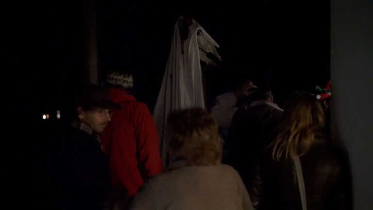 The Tradition of the Welsh Christmas Horse Skull: Mari Lwyd in Dinas ...