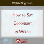 How to Say "Goodnight" in the Welsh Language - We Learn Welsh