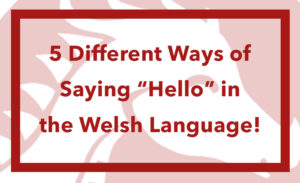 How to Say "Hello" in the Welsh Language: 5 Different Ways! - We Learn ...