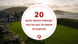 20 Basic Welsh Phrases You've Got to Know to Survive - We Learn Welsh