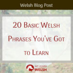 20 Basic Welsh Phrases You've Got to Know to Survive - We Learn Welsh