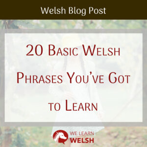 20 Basic Welsh Phrases You've Got to Know to Survive - We Learn Welsh