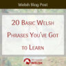 20 Basic Welsh Phrases You've Got to Know to Survive - We Learn Welsh