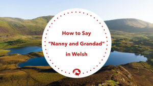 Learn the Welsh for Nanny and Grandad - We Learn Welsh