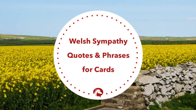 Welsh Sympathy Quotes & Phrases for Cards - We Learn Welsh