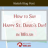 How to Say "Happy St. David's Day" in Welsh (Dydd Gŵyl Dewi Sant Hapus ...