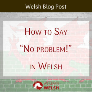 How to Say "No Problem!" in Welsh - We Learn Welsh