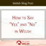 How to Say "Yes" and "No" in Welsh - We Learn Welsh