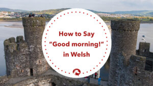 How to Say "Good Morning!" in Welsh - Bore da! - We Learn Welsh