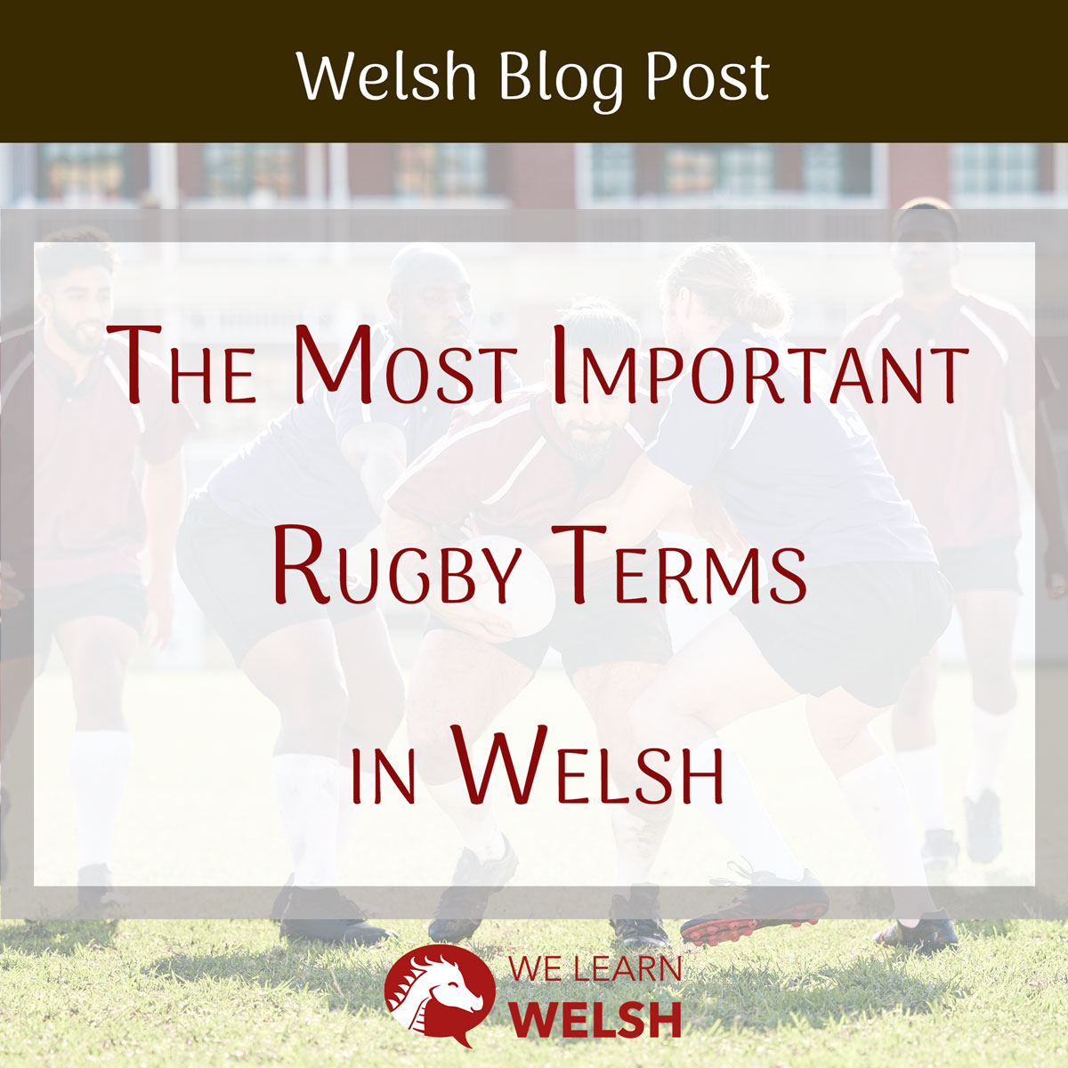 How to Say "Rugby" in Welsh (+ The Most Important Welsh Rugby Terms ...