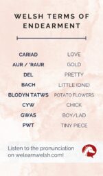 The 8 Most Common Nicknames / Terms of Endearment in Welsh - We Learn Welsh