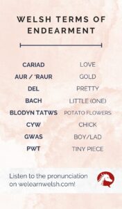 The 8 Most Common Nicknames / Terms of Endearment in Welsh - We Learn Welsh