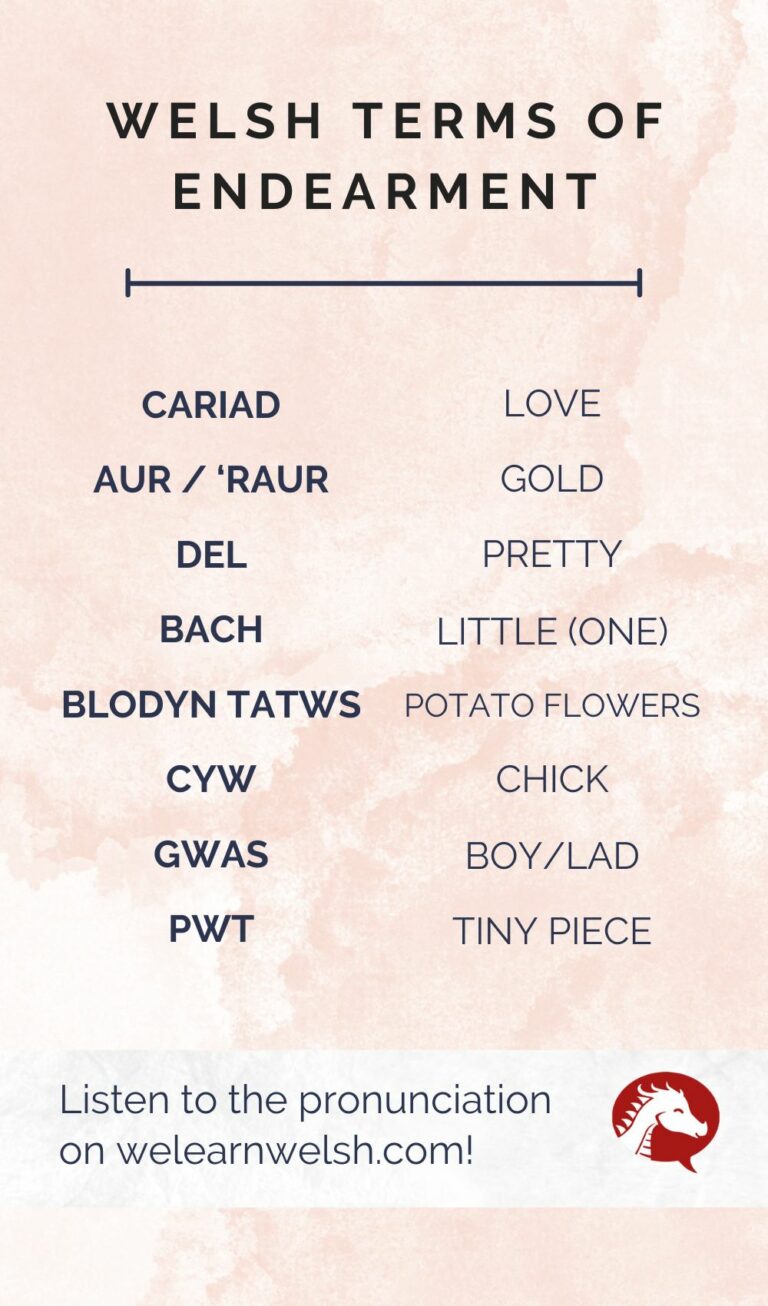 The 8 Most Common Nicknames / Terms of Endearment in Welsh - We Learn Welsh