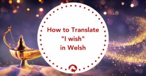 5 Ways to Say "I wish…" in Welsh - We Learn Welsh
