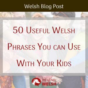 50 Useful Welsh Phrases You Can Use With Your Children Today - We Learn ...