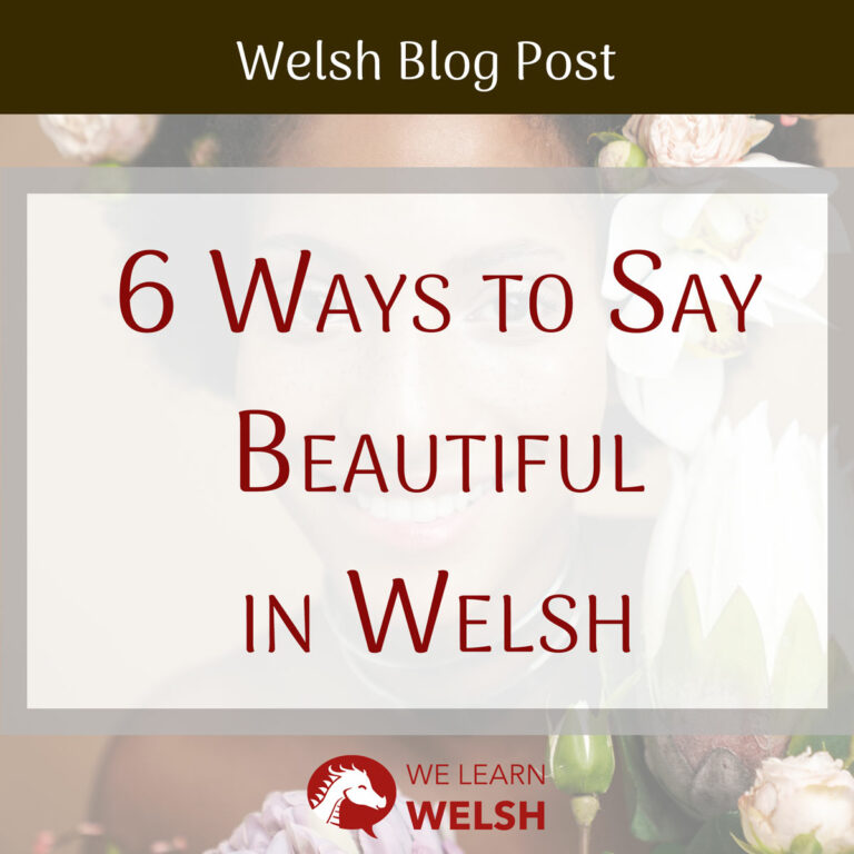 6 Different Ways to Say "Beautiful" in Welsh - We Learn Welsh