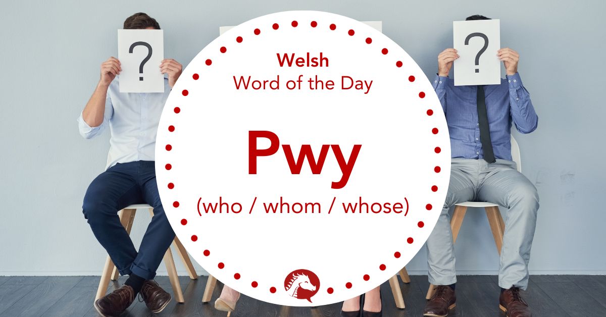 The Most Important Question Words in Welsh - We Learn Welsh