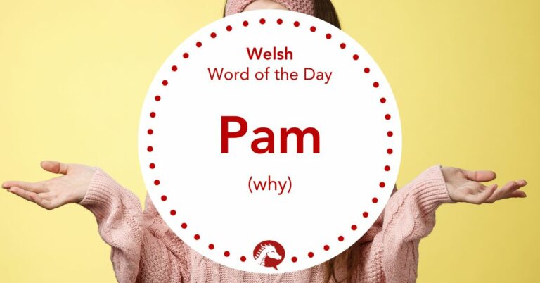 The Most Important Question Words in Welsh - We Learn Welsh