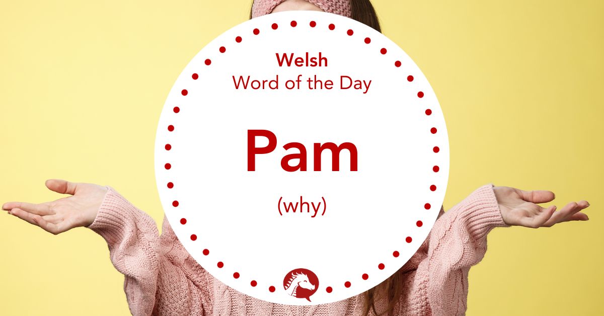 The Most Important Question Words in Welsh - We Learn Welsh