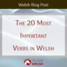 The 20 Most Important Verbs in Welsh - We Learn Welsh