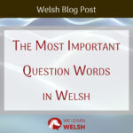 The Most Important Question Words in Welsh - We Learn Welsh