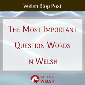 The Most Important Question Words in Welsh - We Learn Welsh