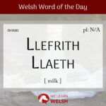 Home - We Learn Welsh