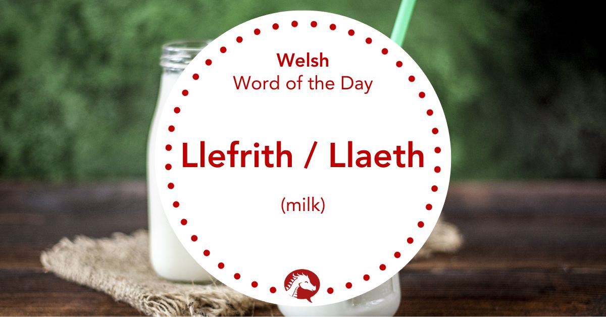 We Learn Welsh - Adventures in learning Cymraeg