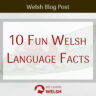 10 Fun Welsh Language Facts - We Learn Welsh