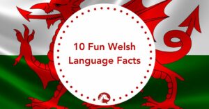 We Learn Welsh - Adventures in learning Cymraeg