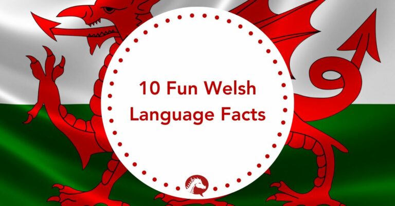 We Learn Welsh - Adventures in learning Cymraeg