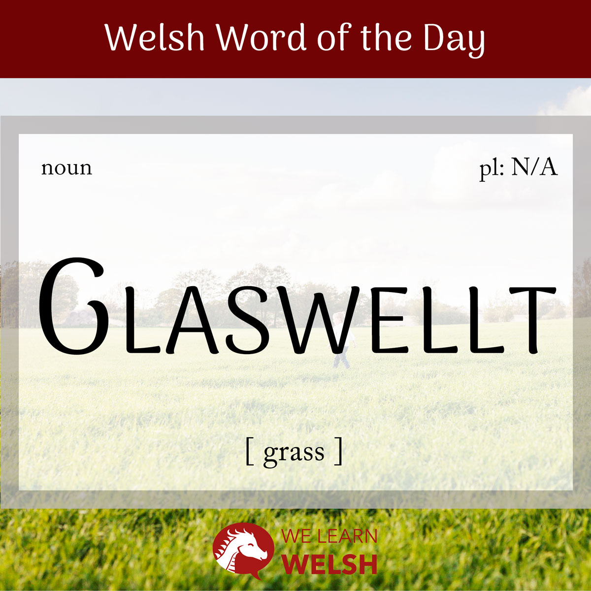 Welsh Word of the Day: Glaswellt (grass) - We Learn Welsh