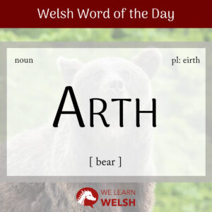 Welsh Word of the Day: Arth (bear) - We Learn Welsh