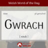 Welsh Word of the Day: Gwrach (witch) - We Learn Welsh