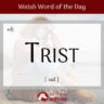 Welsh Word of the Day: Trist (sad) - We Learn Welsh