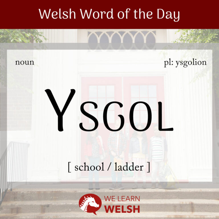Welsh Word of the Day: Ysgol (school / ladder) - We Learn Welsh