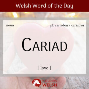 Welsh Word of the Day: Cariad (love) - We Learn Welsh
