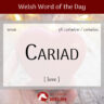 Welsh Word of the Day: Cariad (love) - We Learn Welsh