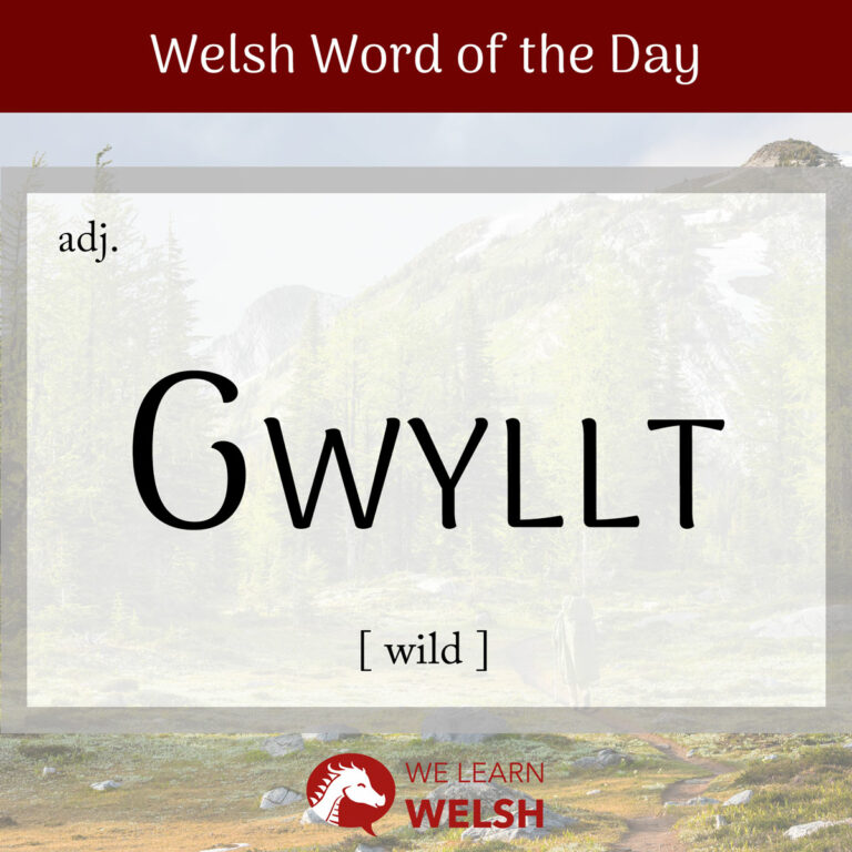Welsh Word of the Day: Gwyllt (wild) - We Learn Welsh