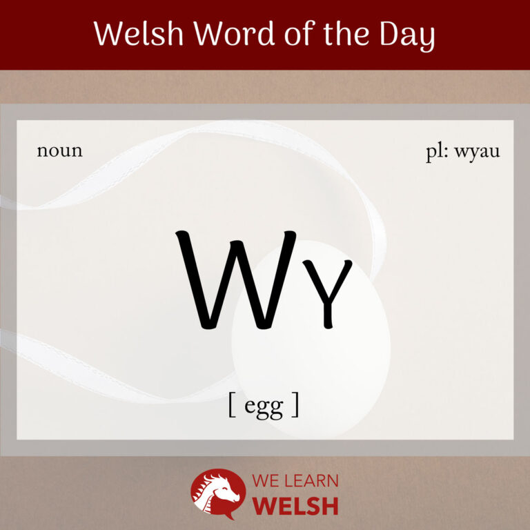 Welsh Word of the Day: Wy (egg) - We Learn Welsh