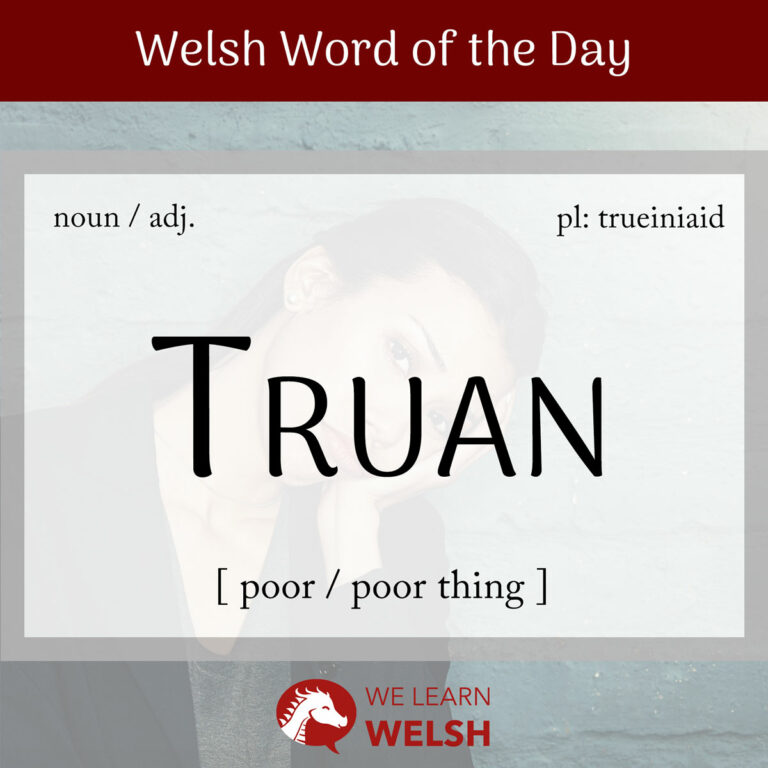 Welsh Word of the Day: Truan (poor / poor thing) - We Learn Welsh