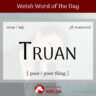 Welsh Word of the Day: Truan (poor / poor thing) - We Learn Welsh