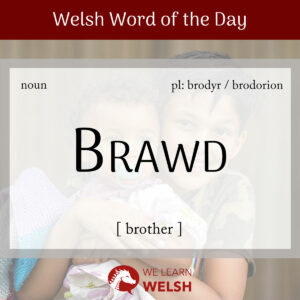 Welsh Word of the Day: Brawd (brother) - We Learn Welsh