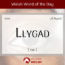 Welsh Word of the Day: Llygad (eye) - We Learn Welsh