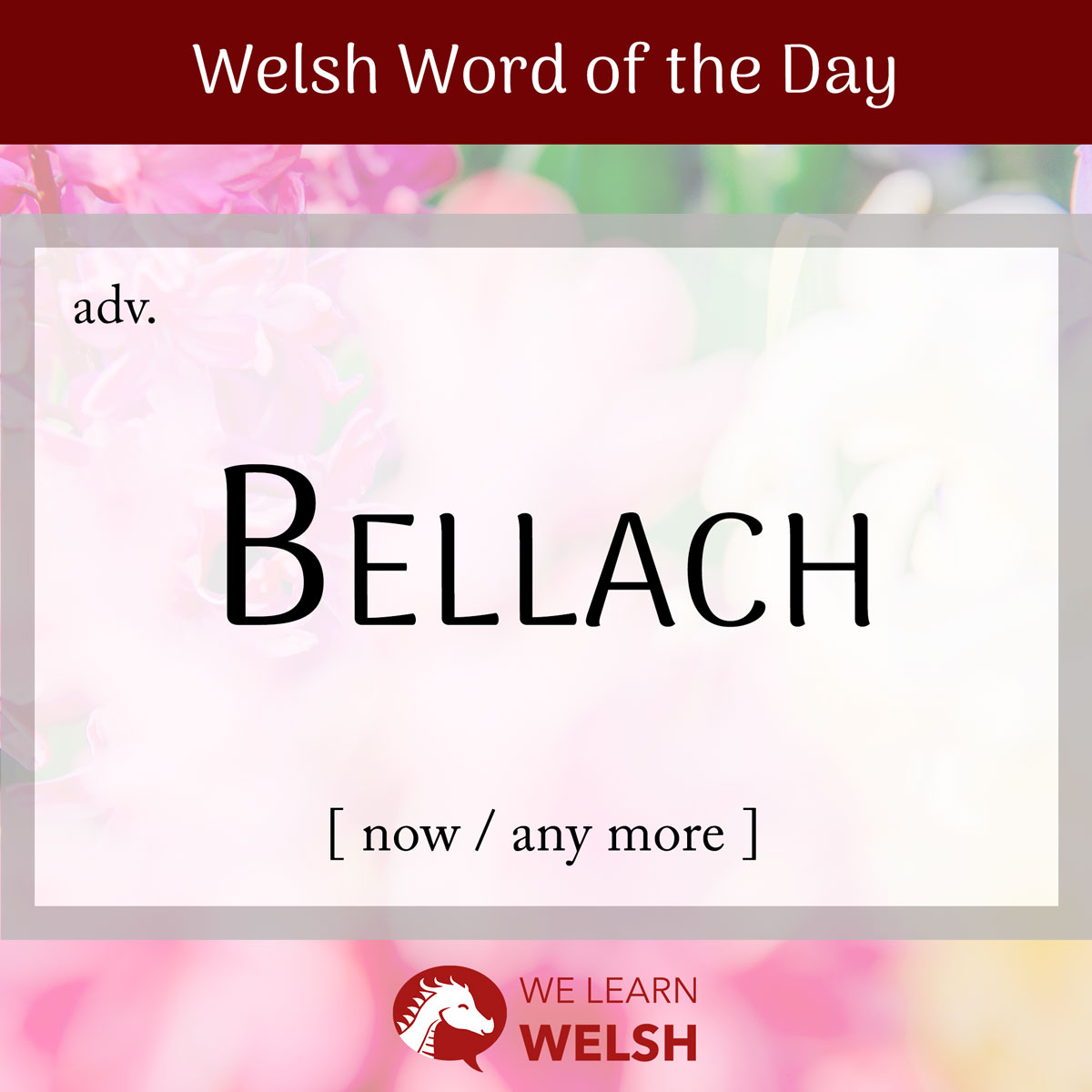 Welsh Word of the Day: Bellach (now / any more) - We Learn Welsh