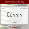 Welsh Word of the Day: Cennin (leeks) - We Learn Welsh