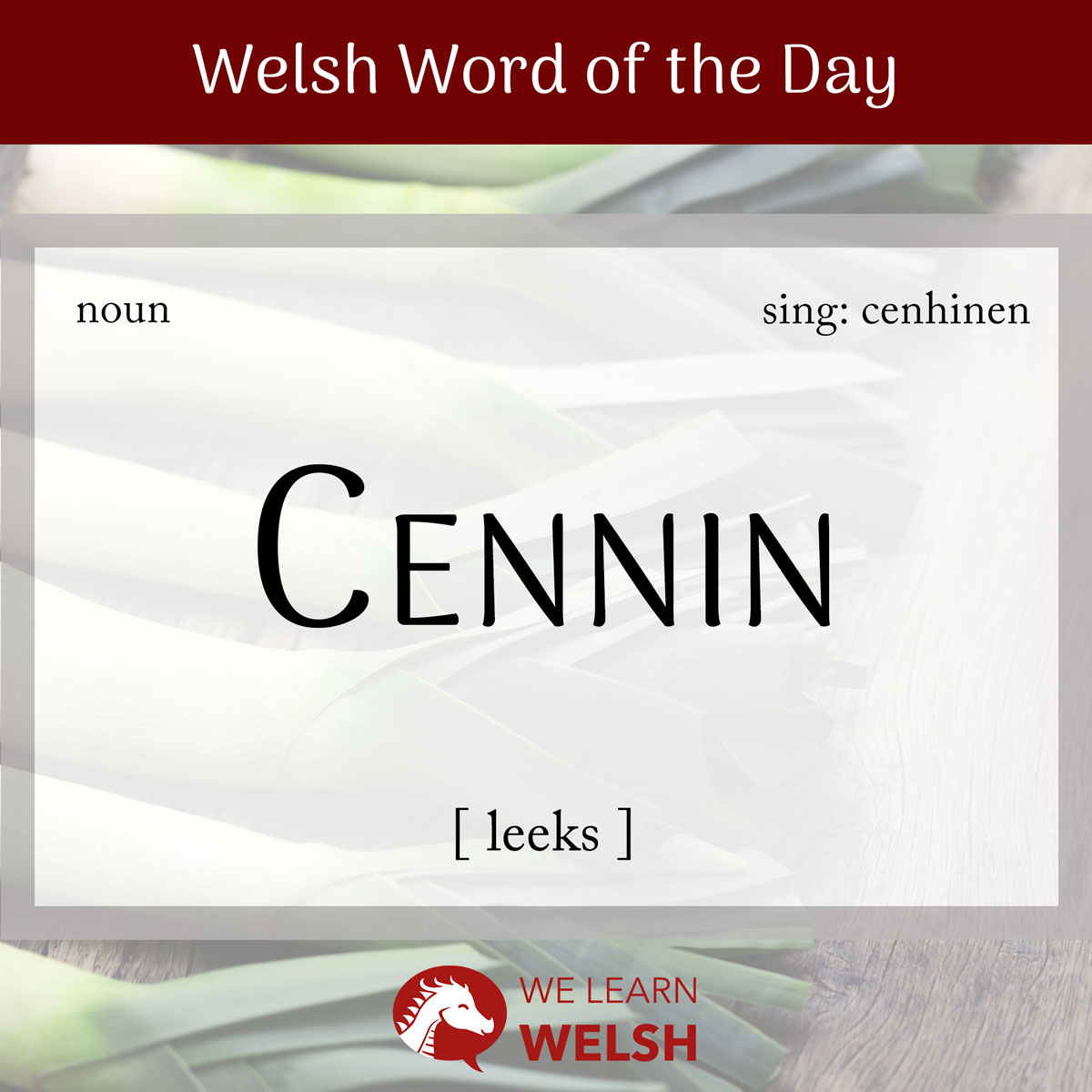 Welsh Word of the Day: Cennin (leeks) - We Learn Welsh