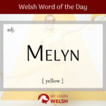 Welsh Word of the Day: Melyn (yellow) - We Learn Welsh
