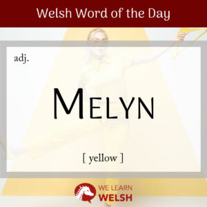 Welsh Word of the Day: Melyn (yellow) - We Learn Welsh